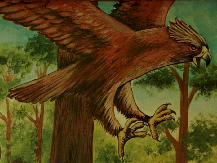 Elang Haast, Elang Terbesar yang Pernah Ada di Dunia | Indozone.id