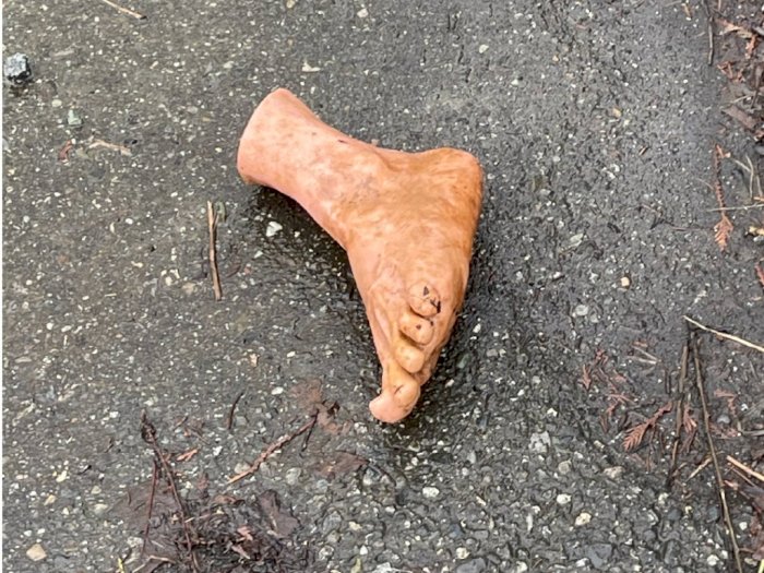 Warga Pucat Pasi Lihat Kaki Putus, Rupanya Hanya Kaki Manekin | Indozone.id